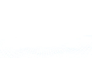 DeepView Snapshot: Wound Assessment Tool | Spectral AI